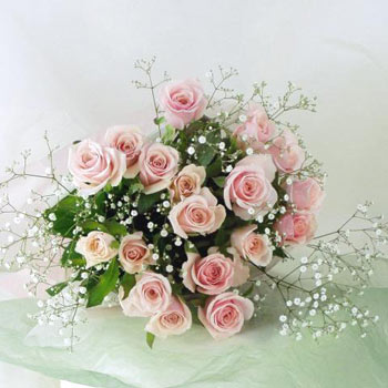 Flowers :: Lovable Pink Roses
